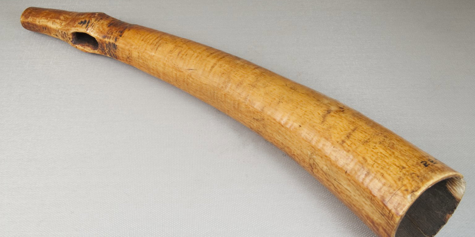 Horn · Brooklyn Museum