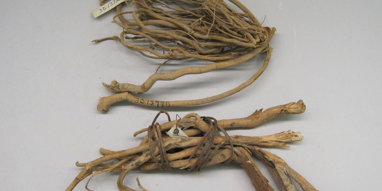 Two Bunches of Native Roots · Brooklyn Museum