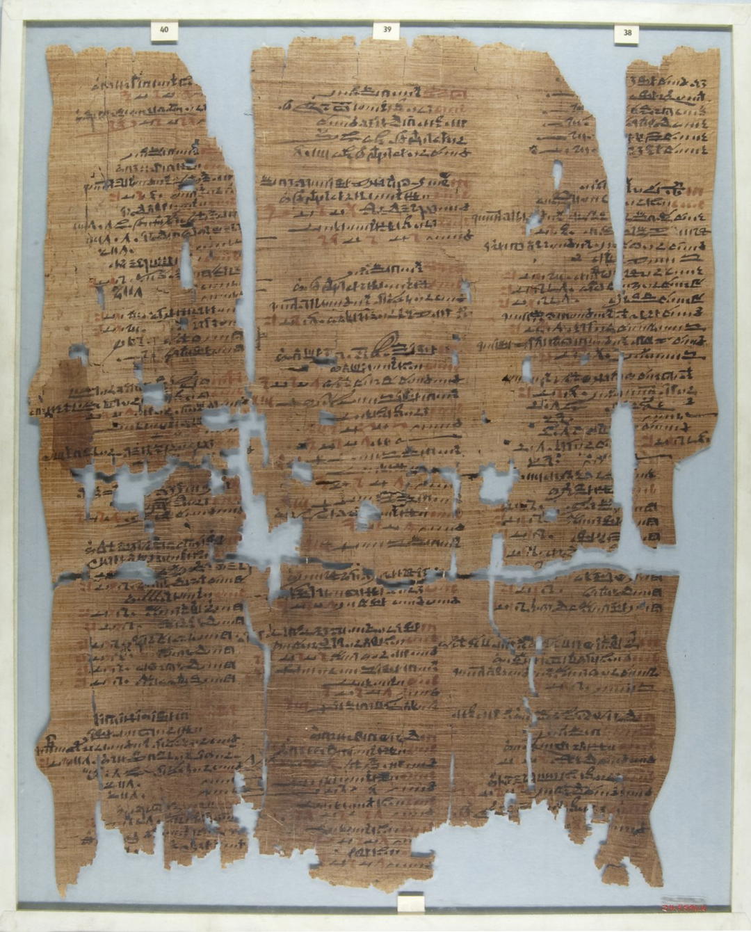 The Wilbour Papyrus · Brooklyn Museum