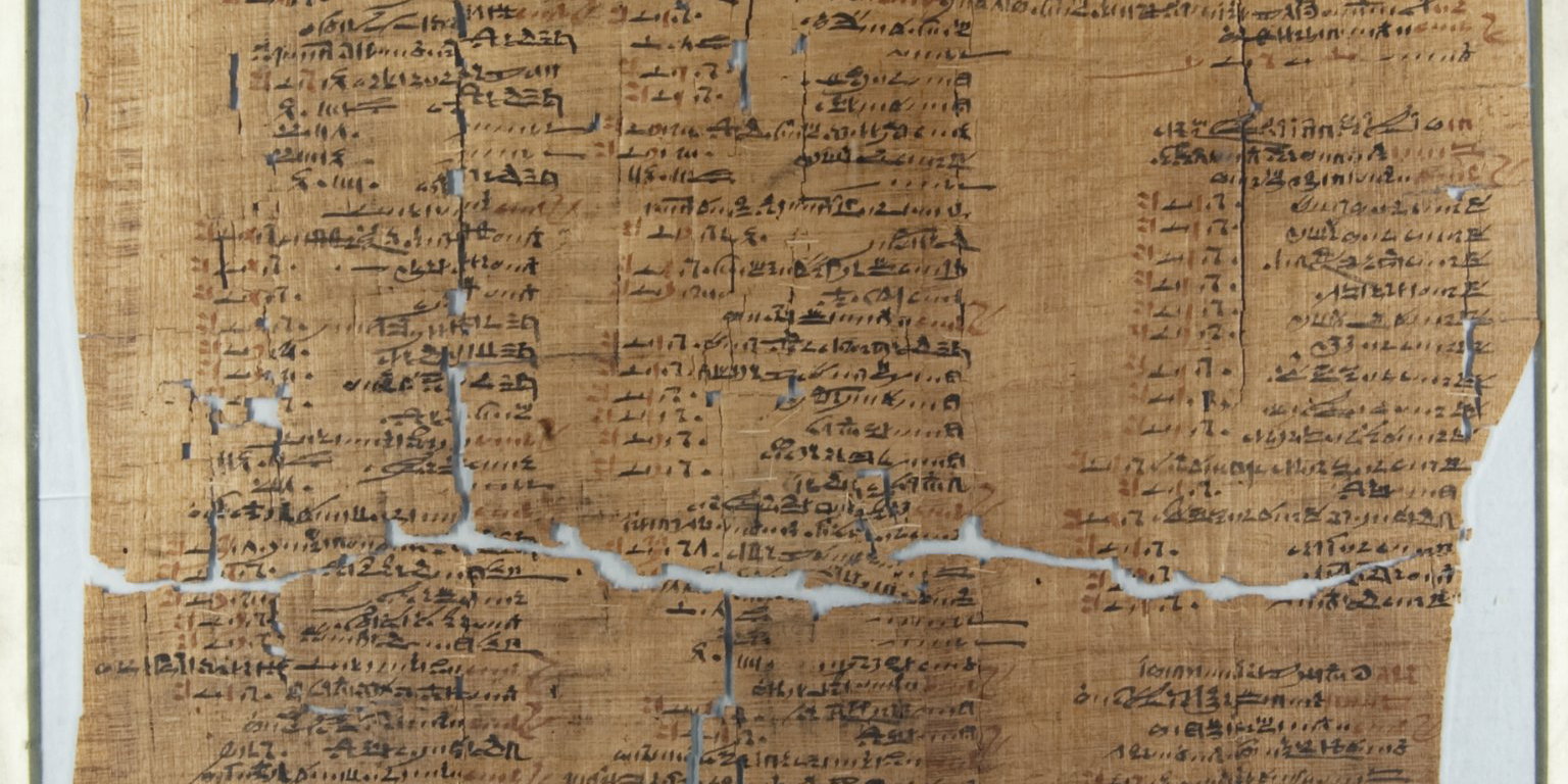 The Wilbour Papyrus · Brooklyn Museum
