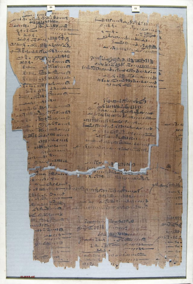 The Wilbour Papyrus · Brooklyn Museum