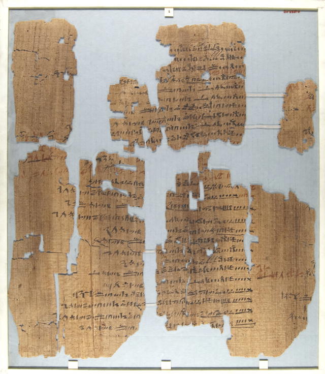 The Wilbour Papyrus · Brooklyn Museum