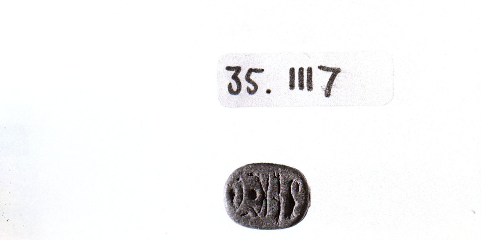 Seal · Brooklyn Museum