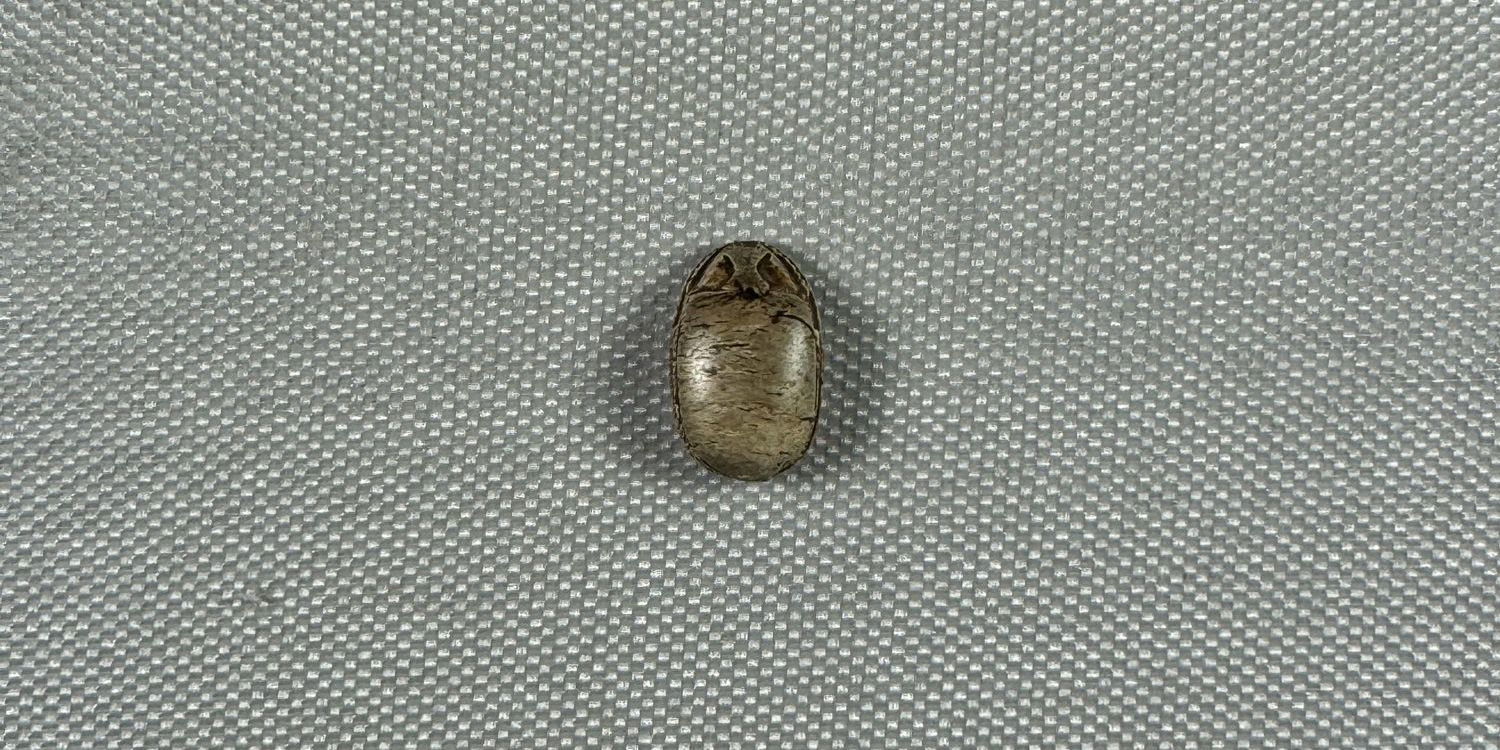 Scarab with Lotus and Rope Design · Brooklyn Museum