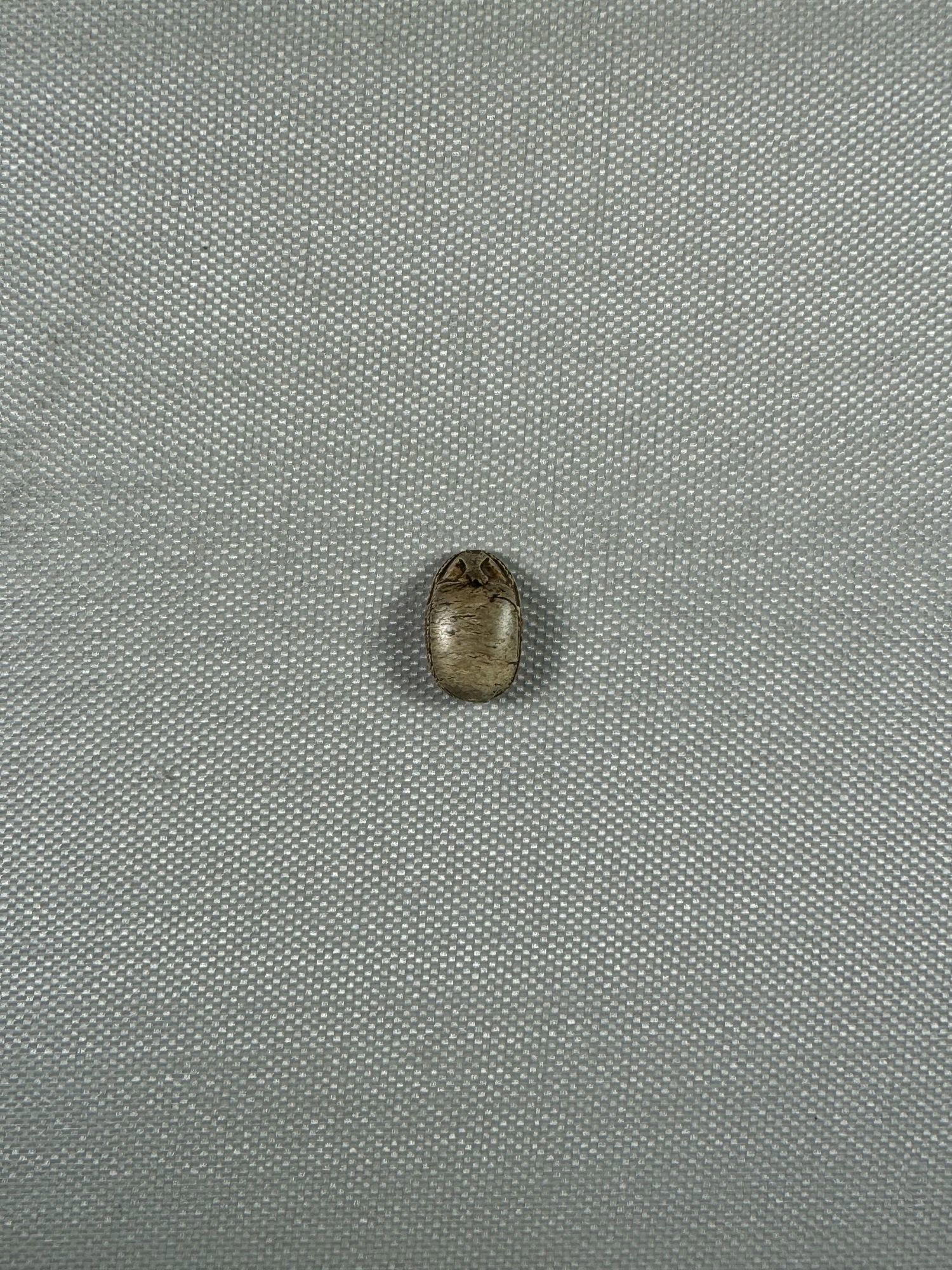 Scarab with Lotus and Rope Design · Brooklyn Museum