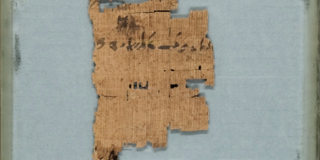 Papyrus Fragment Inscribed in Demotic · Brooklyn Museum