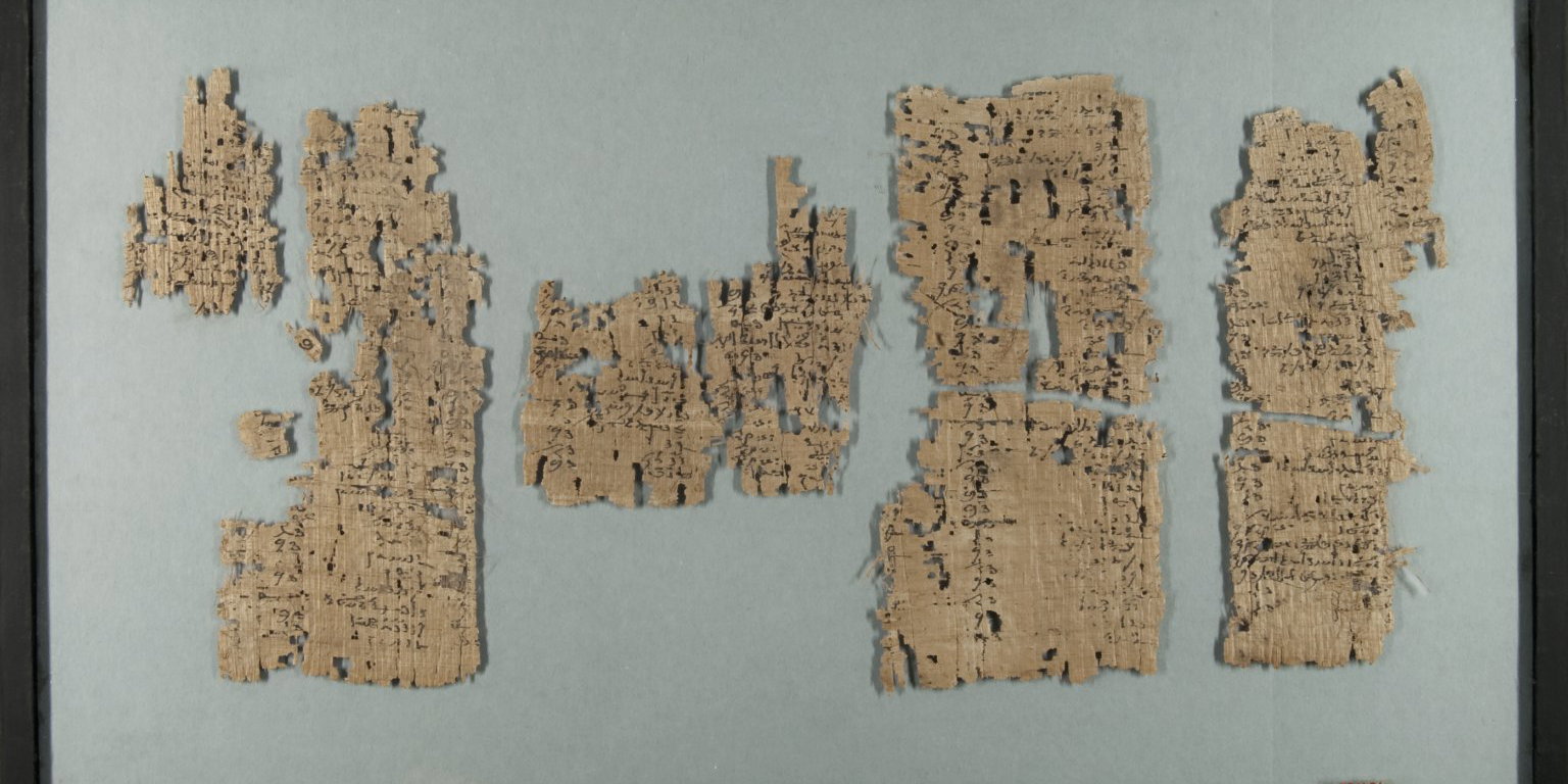 Papyrus Fragments Inscribed in Demotic · Brooklyn Museum