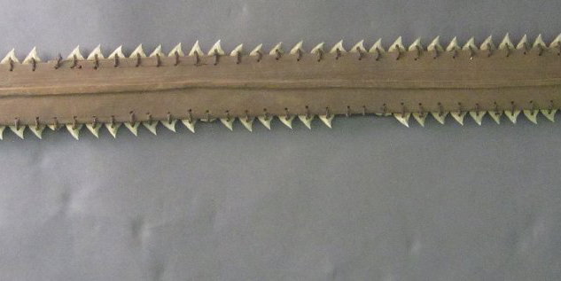 Shark Teeth Sword · Brooklyn Museum