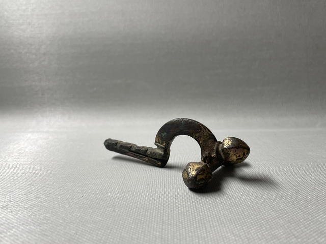 Fibula · Brooklyn Museum