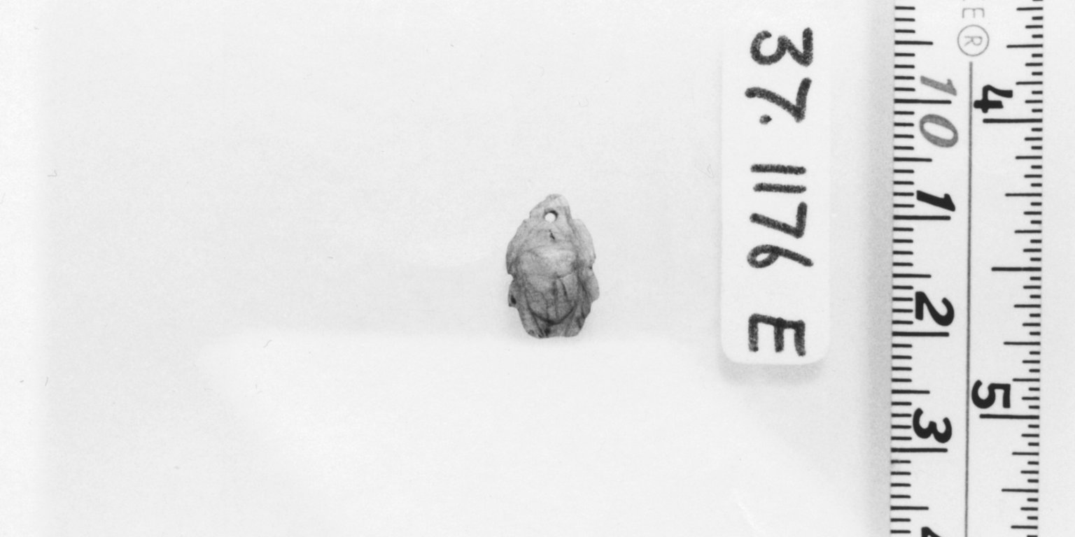Scarab Amulet · Brooklyn Museum