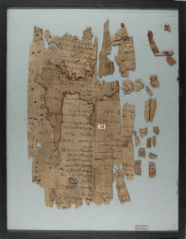 Papyrus Inscribed in Demotic · Brooklyn Museum