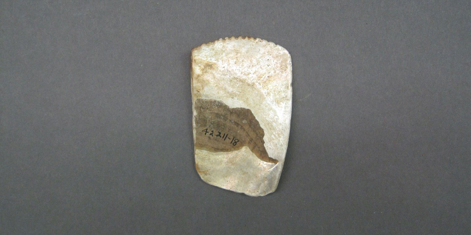 Coconut Scraper · Brooklyn Museum