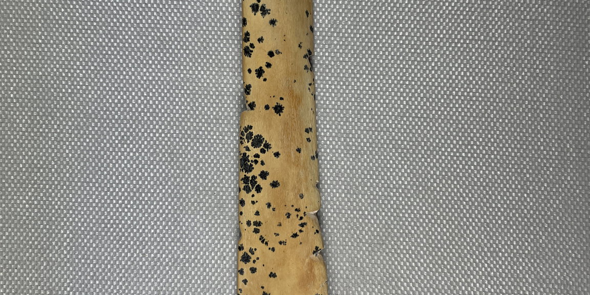 Animal Bone · Brooklyn Museum