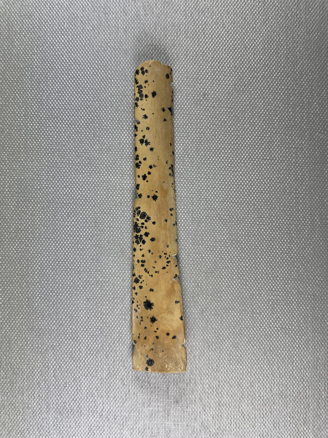 Animal Bone · Brooklyn Museum