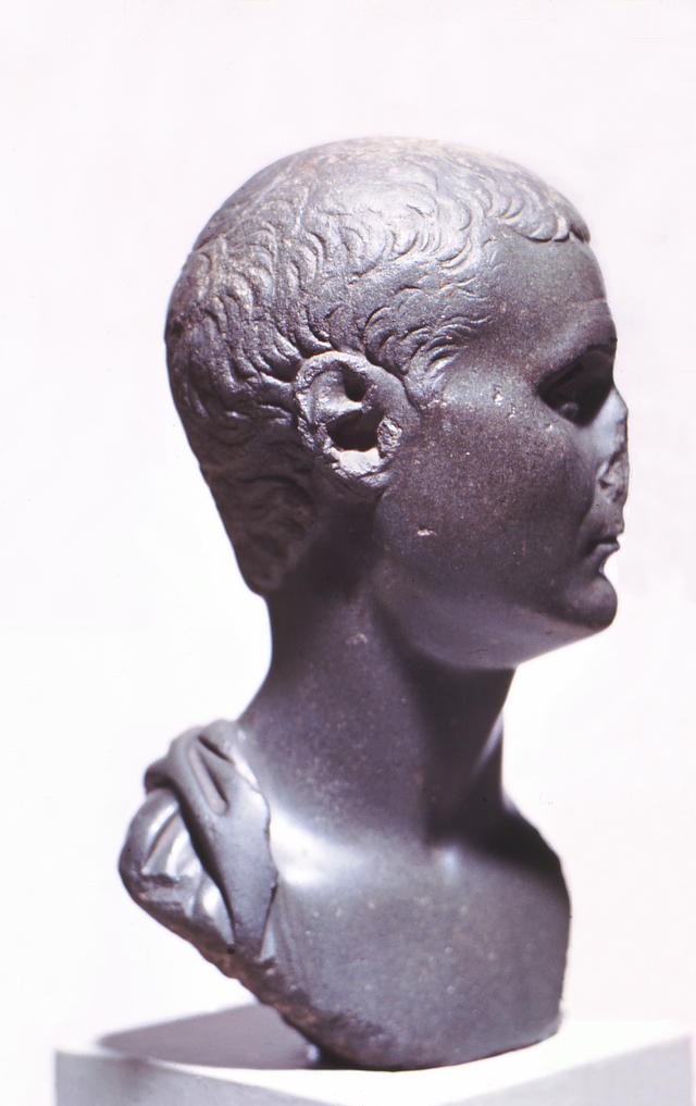 Head of a Roman Nobleman, Possibly Marc Antony · Brooklyn Museum