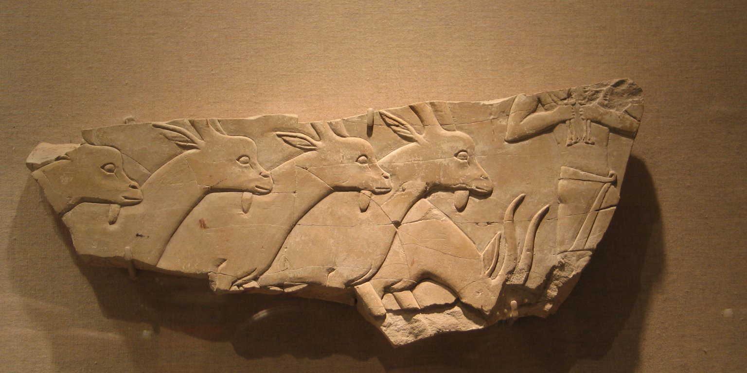 Goats and Herdsman · Brooklyn Museum