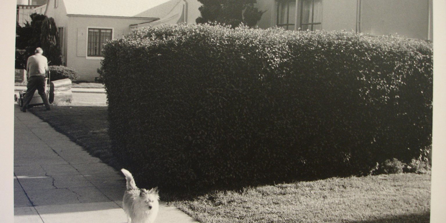 Berkeley · Brooklyn Museum