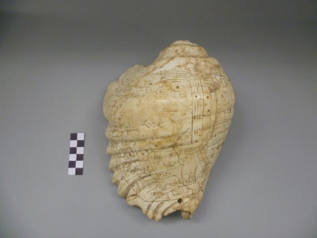 Incised Strombus-Shell Trumpet · Brooklyn Museum