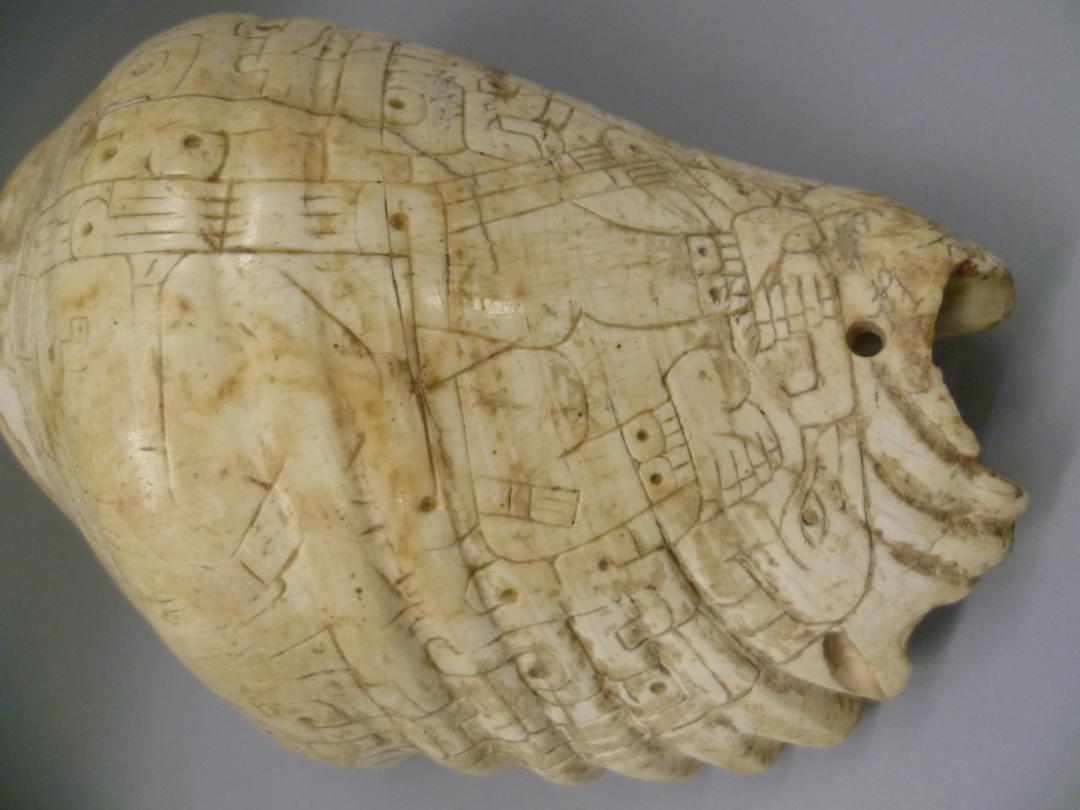 Incised Strombus-Shell Trumpet · Brooklyn Museum