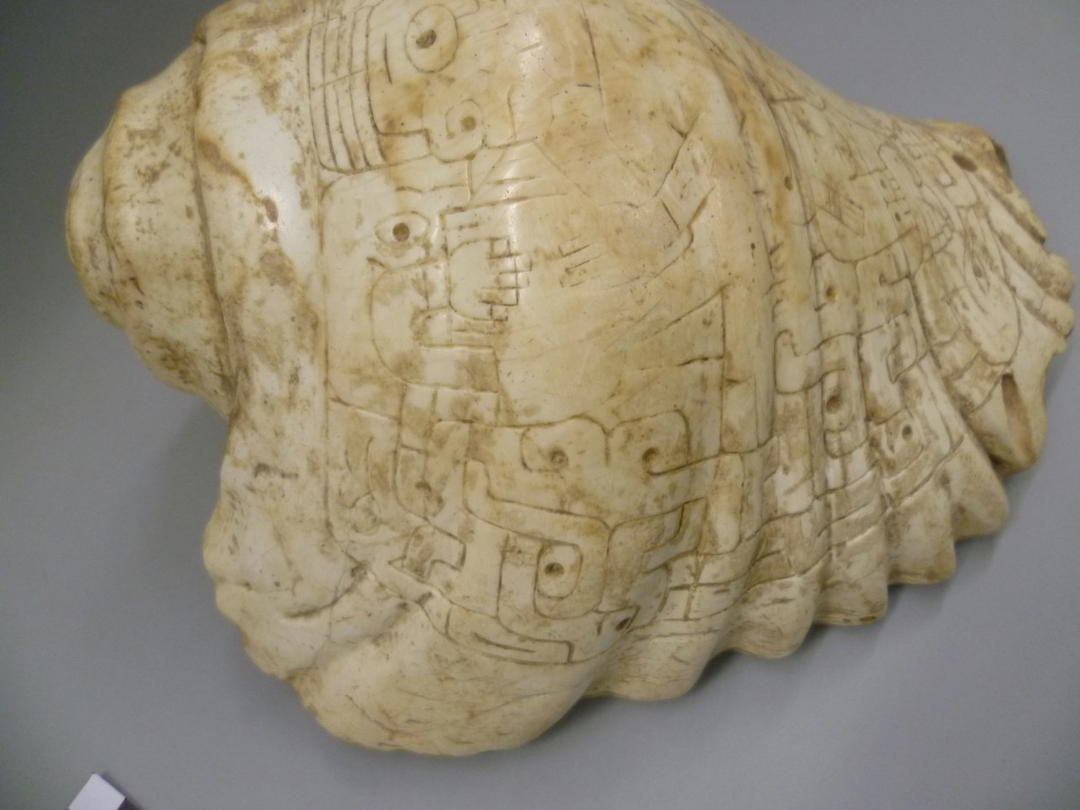 Incised Strombus-Shell Trumpet · Brooklyn Museum