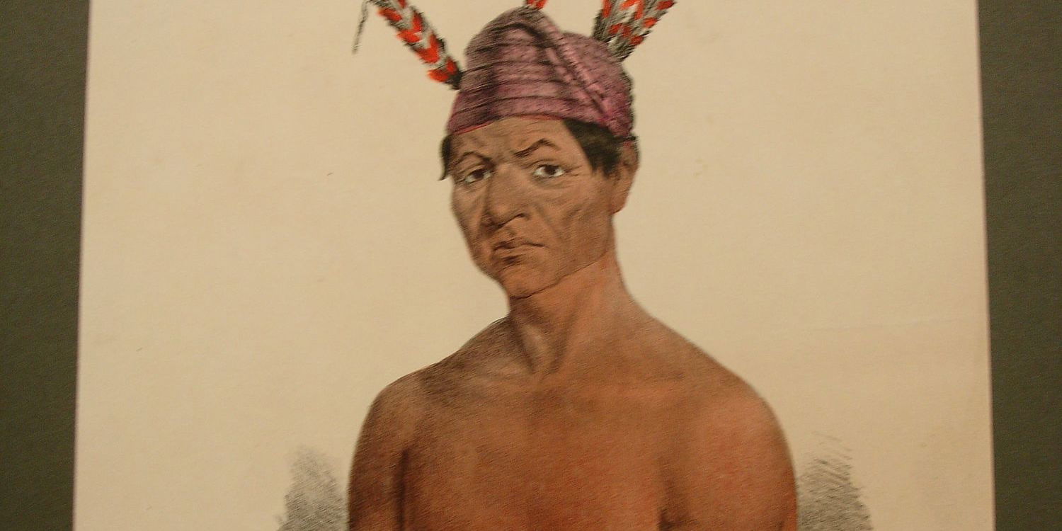 Waa-Kaun-See-Kaa or the Rattle-Snake, a Winnebago Chief · Brooklyn Museum