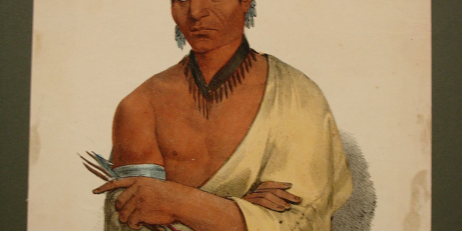 O-Wan-Ich-Koh or the Little Elk, a Winnebago Chief · Brooklyn Museum