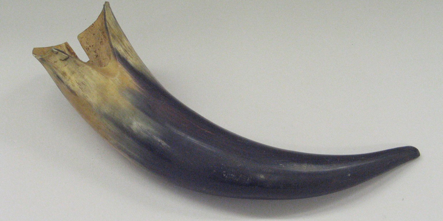 Two Tone Horn · Brooklyn Museum