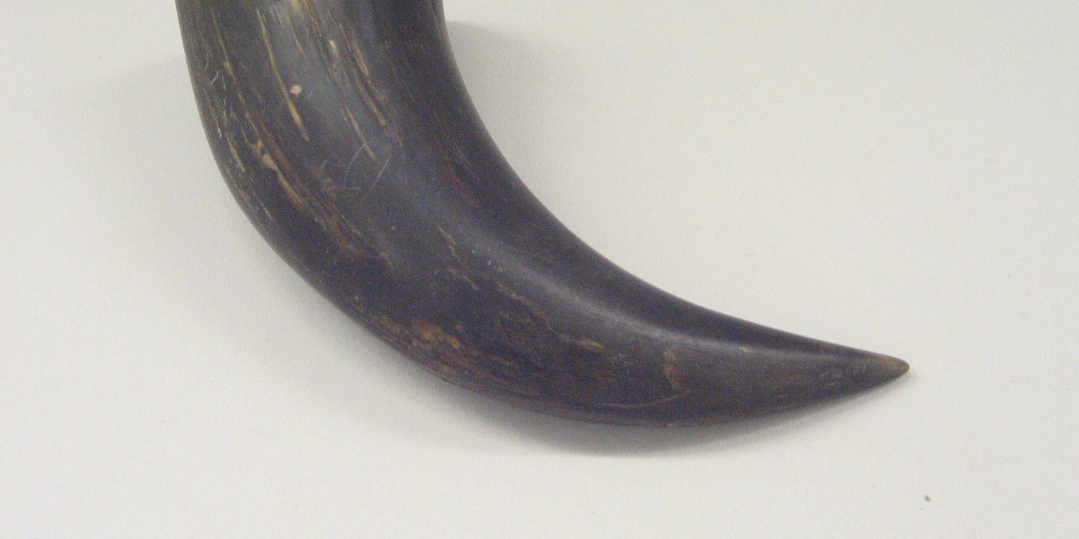 Horn · Brooklyn Museum
