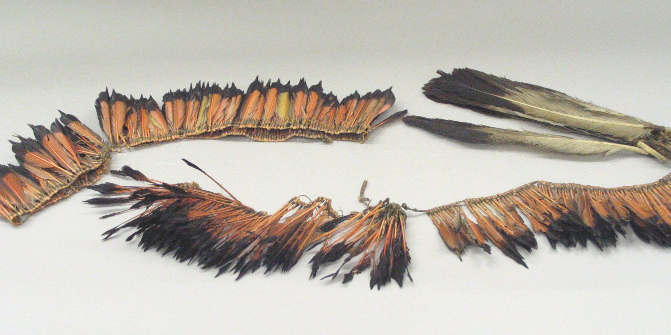Ornamental Feathers · Brooklyn Museum