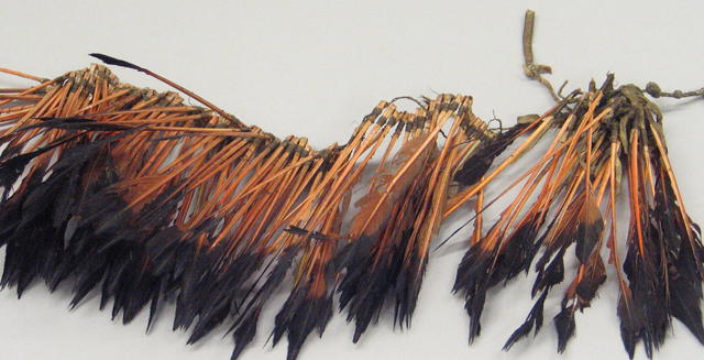 Ornamental Feathers · Brooklyn Museum