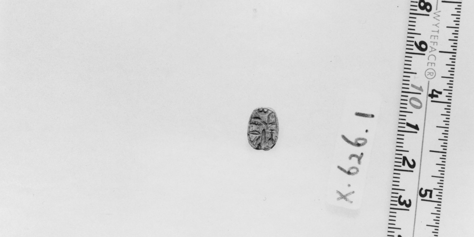 Scarab · Brooklyn Museum