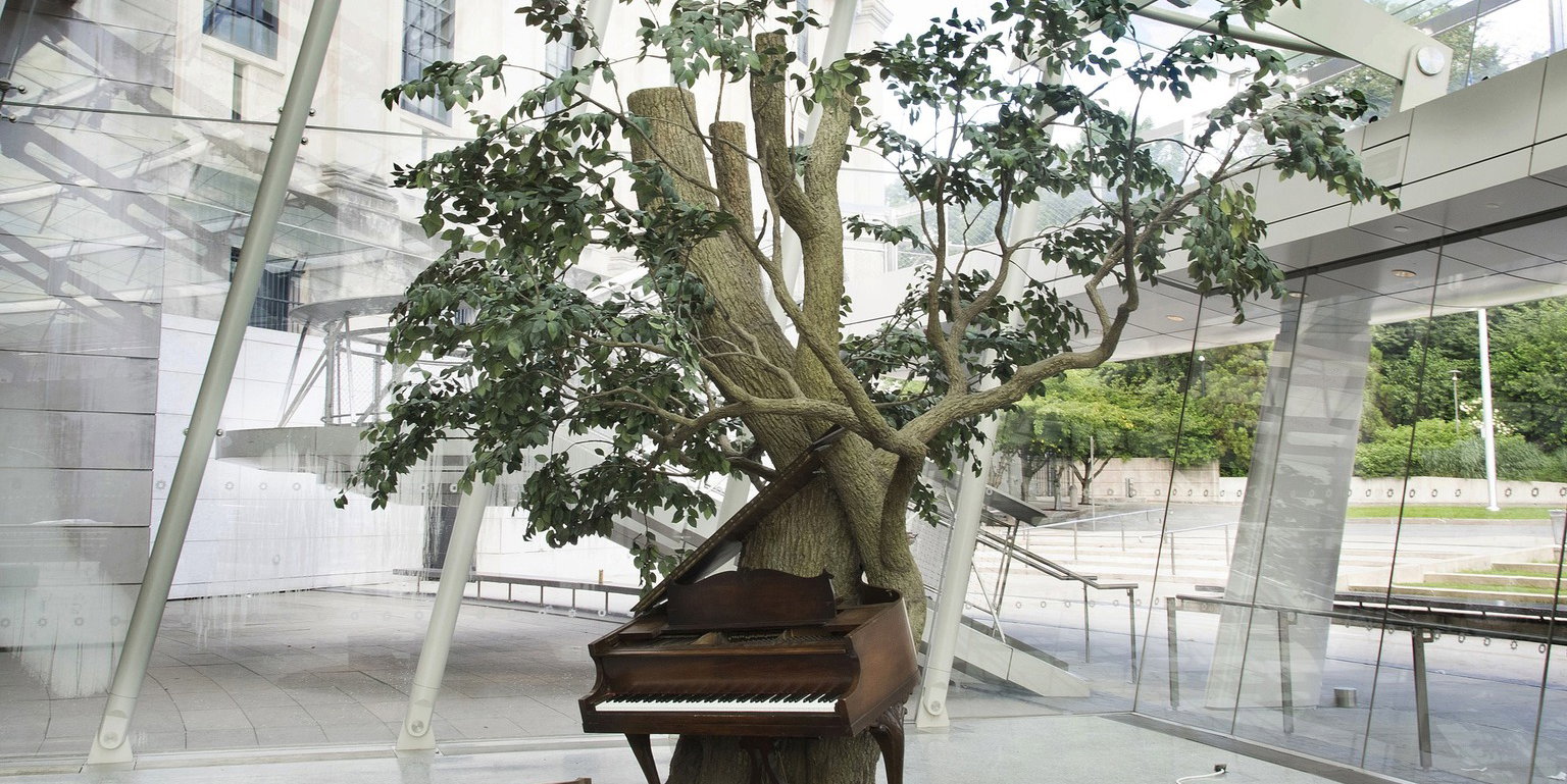 Blossom · Brooklyn Museum
