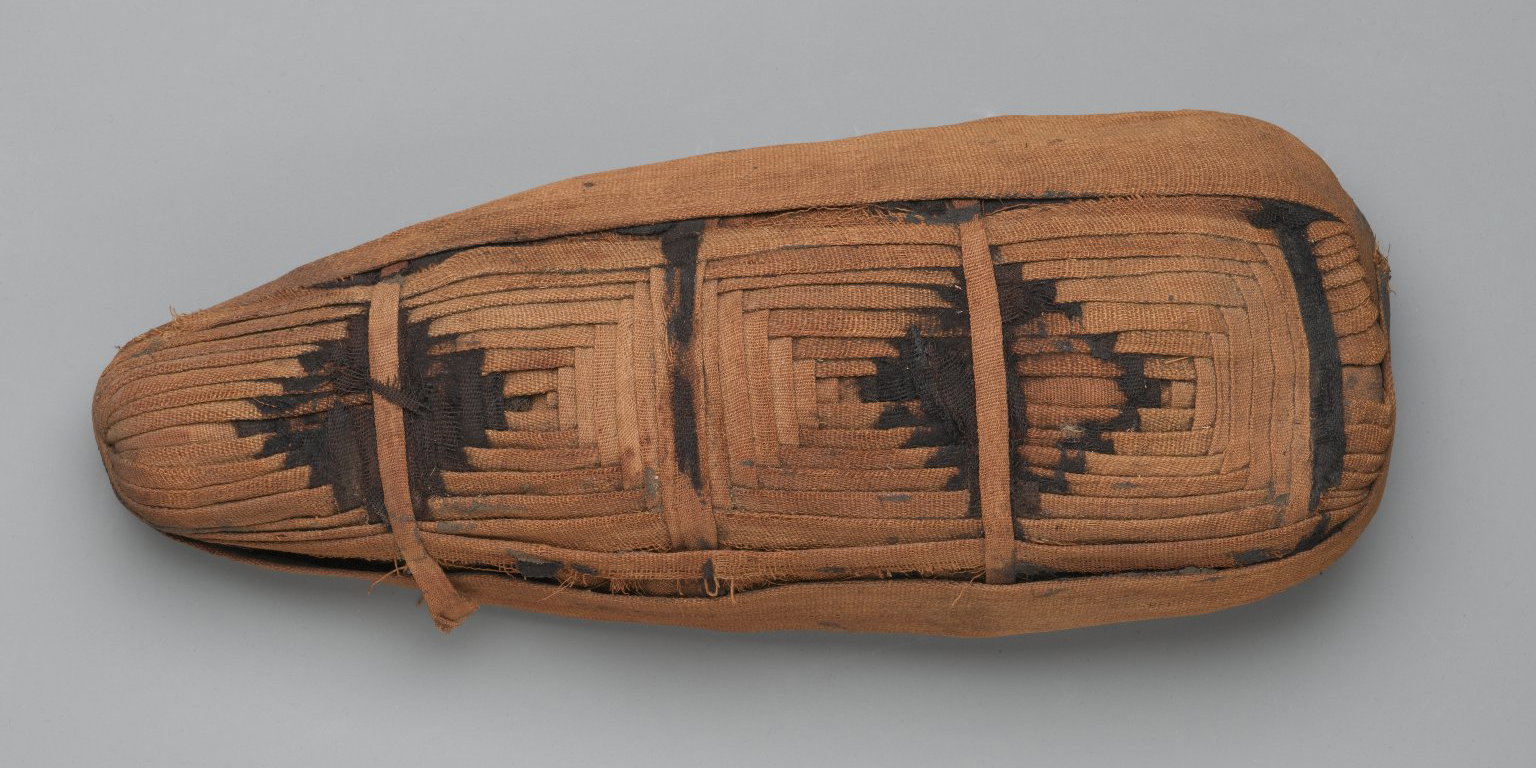 Ibis Mummy · Brooklyn Museum