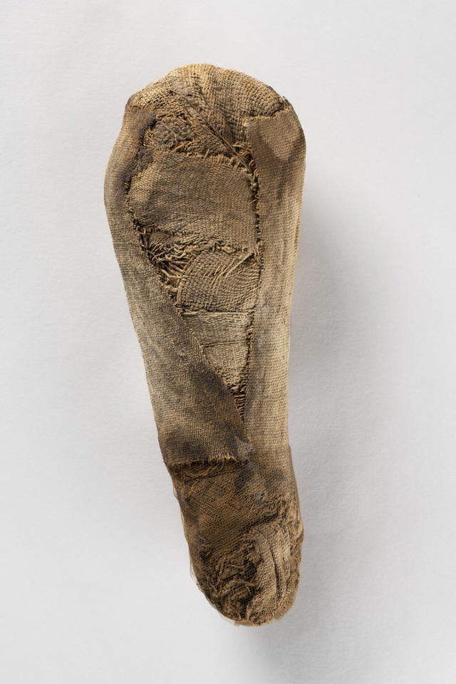 Falcon Mummy · Brooklyn Museum